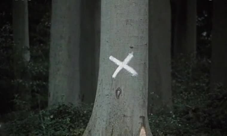 Les jeux de la Comtesse Dolingen de Gratz (1981)